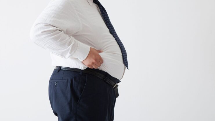 6 Best Comfortable Belts For Fat Guys - Dude Pins